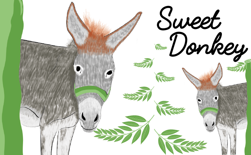 Sweet Donkey Dekor - Kinder - Sweet Donkey
